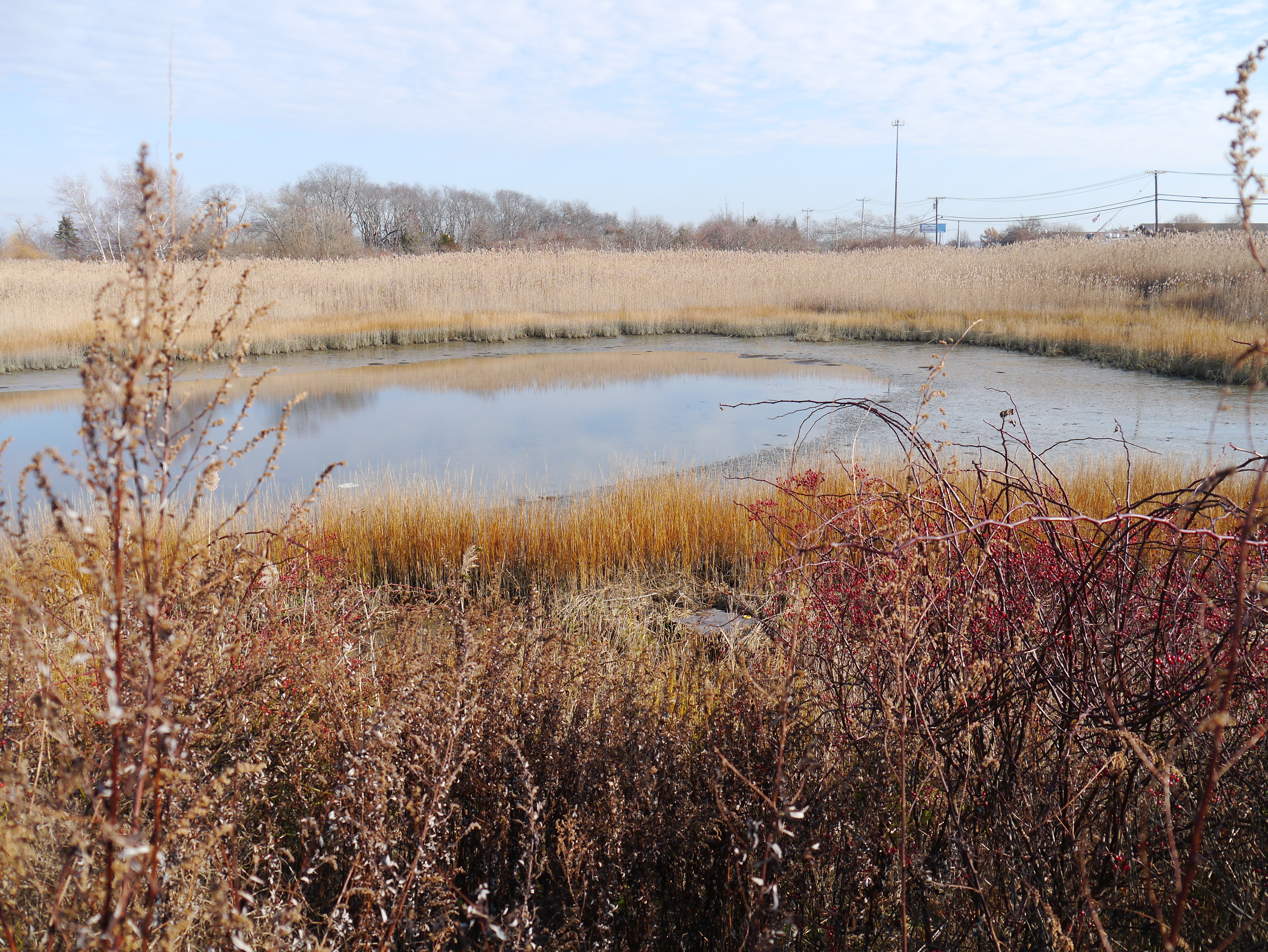 Town Pond Through the Years | portsmouthhistorynotes