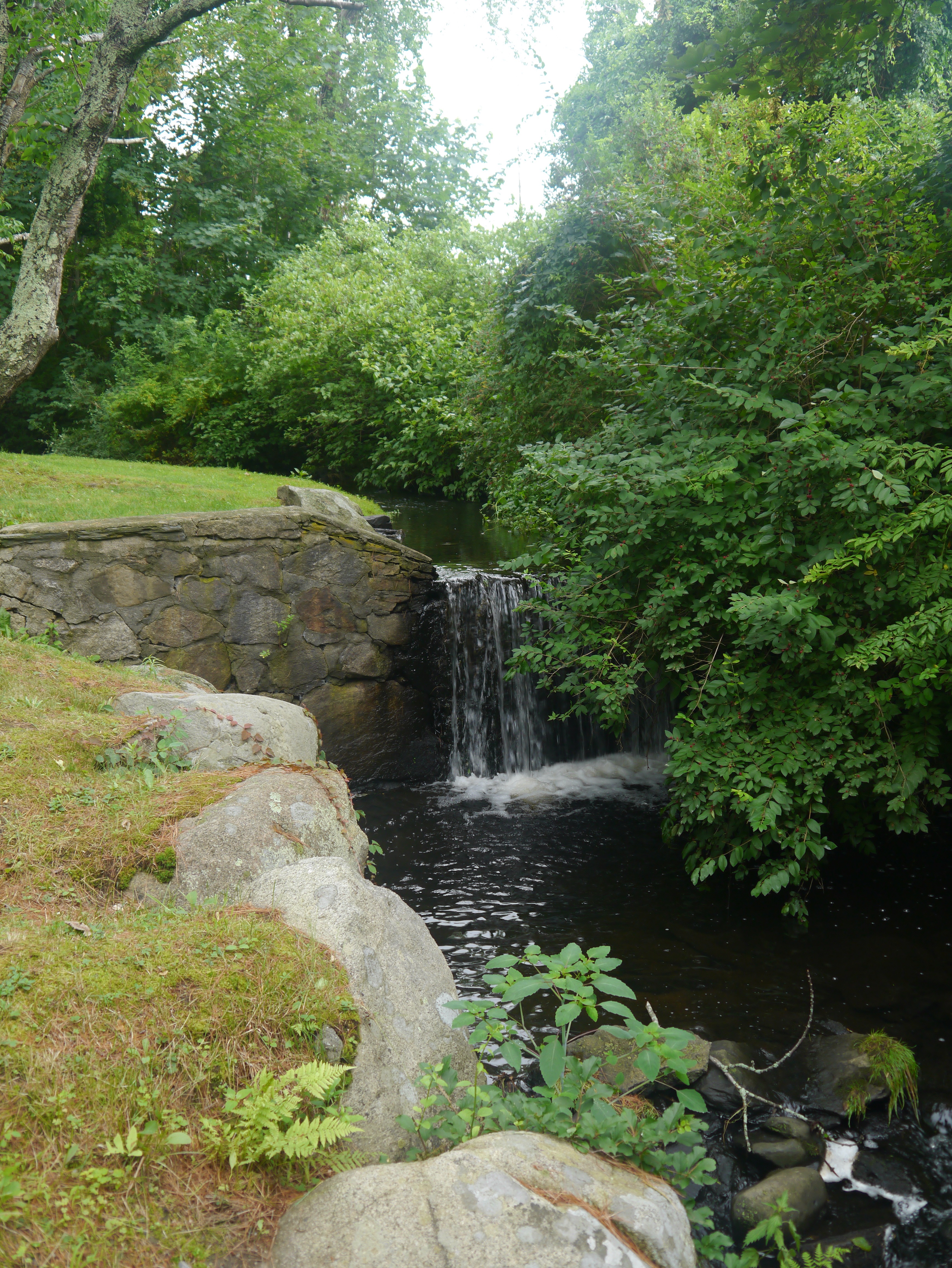Saving Founders’ Brook | portsmouthhistorynotes